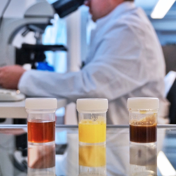 Pollen analysis of acacia honey according to the guidelines for honey